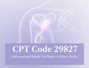 Brief Guide to CPT Code 29827